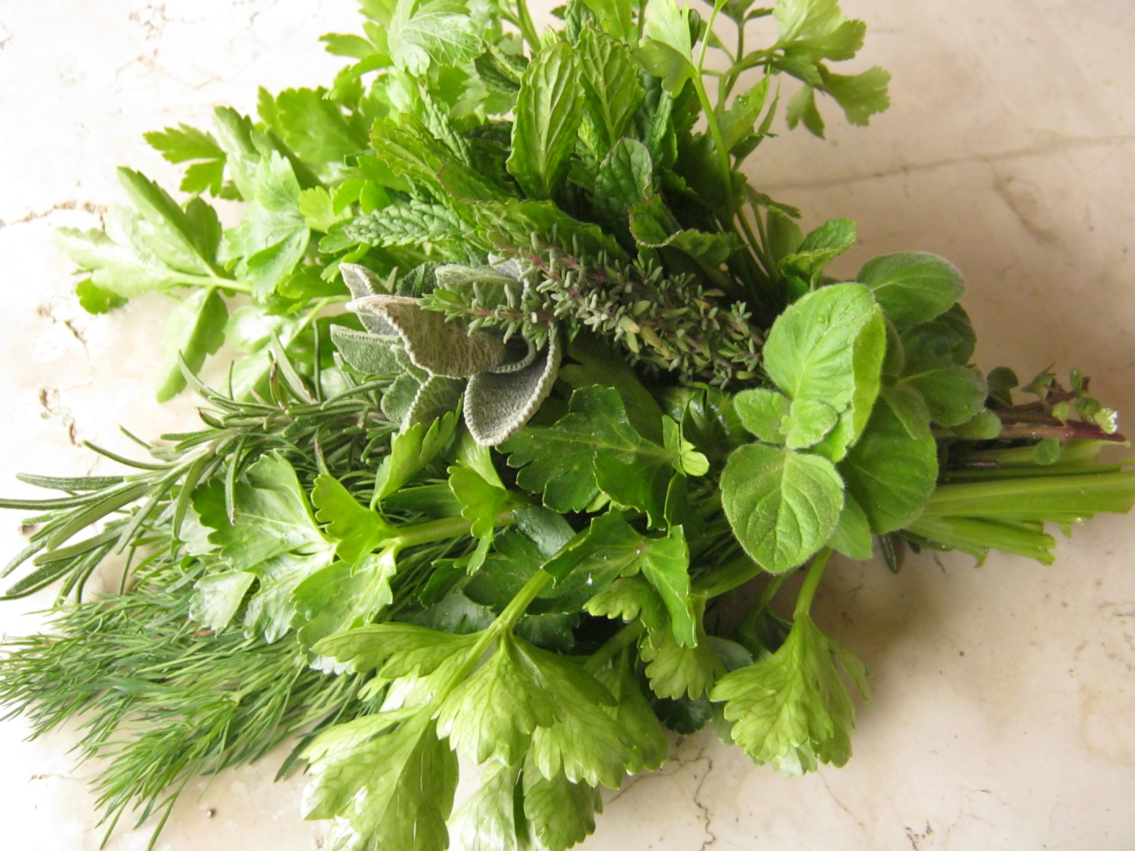 Erbe aromatiche miste | Sapori di Capolavia